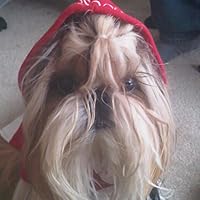 Like Clockwork by Jason Rubis | Goodreads