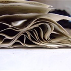 Two Friends, One World by Ramon C. Sunico | Goodreads