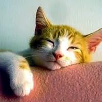 Forgotten by Traxie | Goodreads