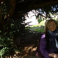 The Chakras Made Easy by Hilary H. Carter | Goodreads