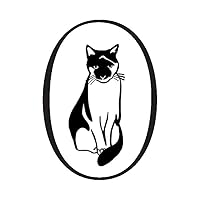 The Librarian: A Memoir by Allie Morgan | Goodreads