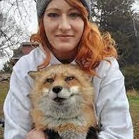 Finnegan Fox and Friends: Welcome To SaveAFox by Mikayla Raines | Goodreads