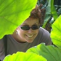 Haiku is the Spice of Life by Ginny Tata-Phillips | Goodreads