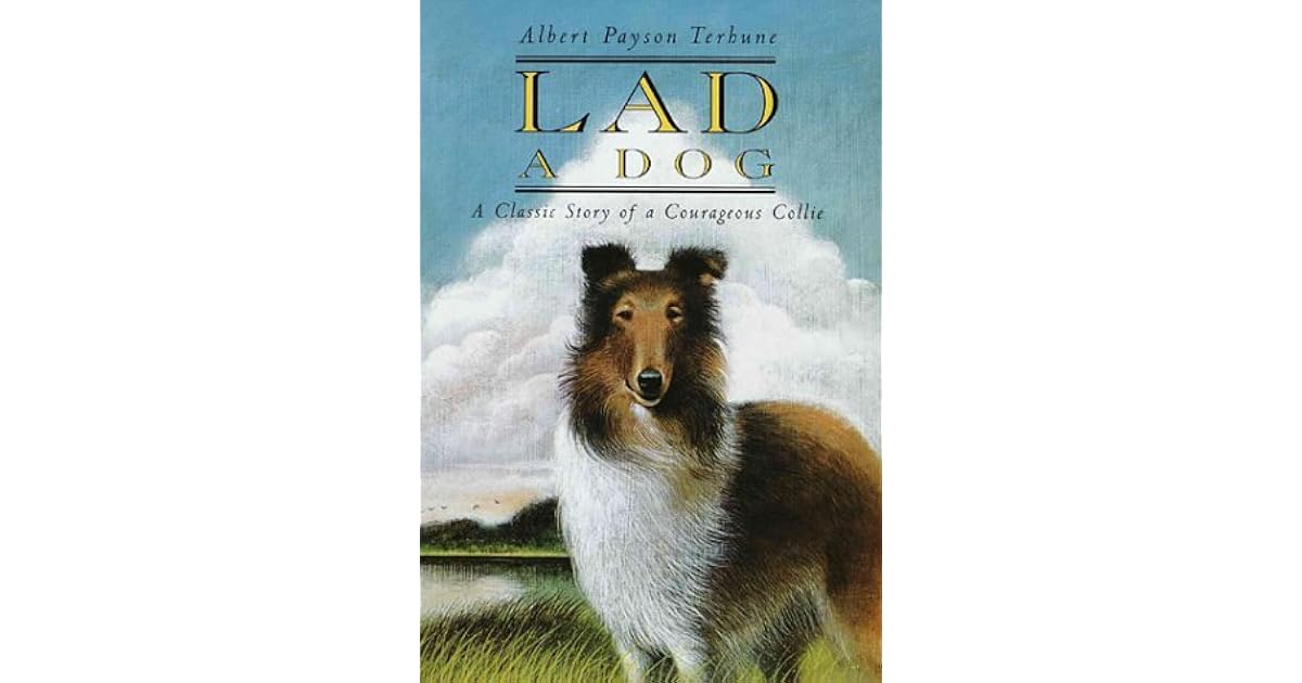 Lad: A Dog by Albert Payson Terhune