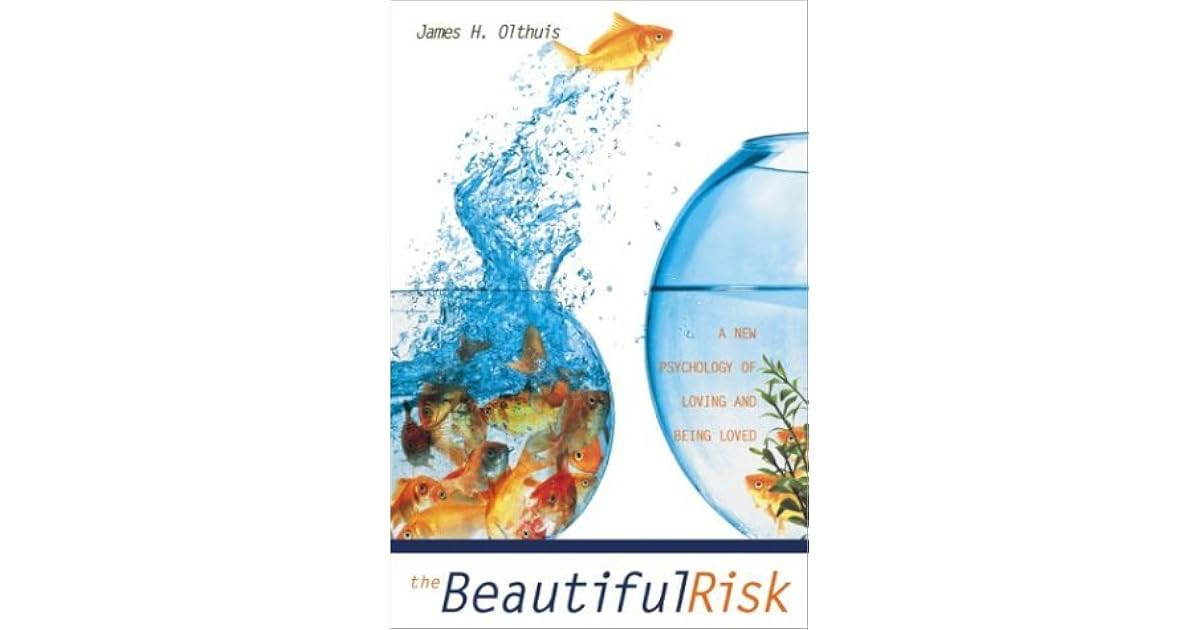 The Beautiful Risk by James H. Olthuis