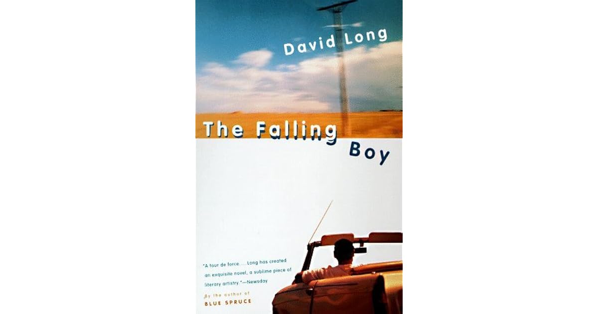 The Falling Boy by David Long