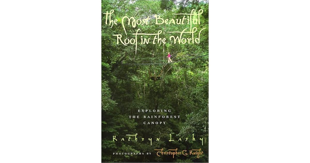 Most Beautiful Roof in the World: Exploring the Rainforest Canopy by ...