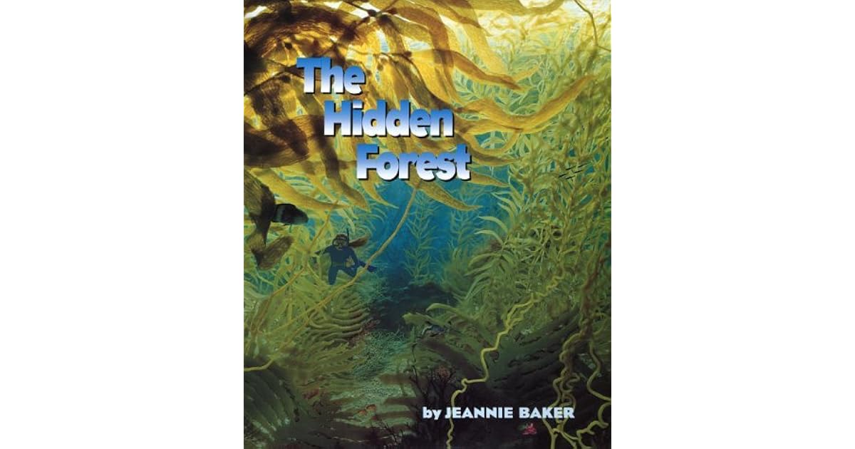 The Hidden Forest by Jeannie Baker