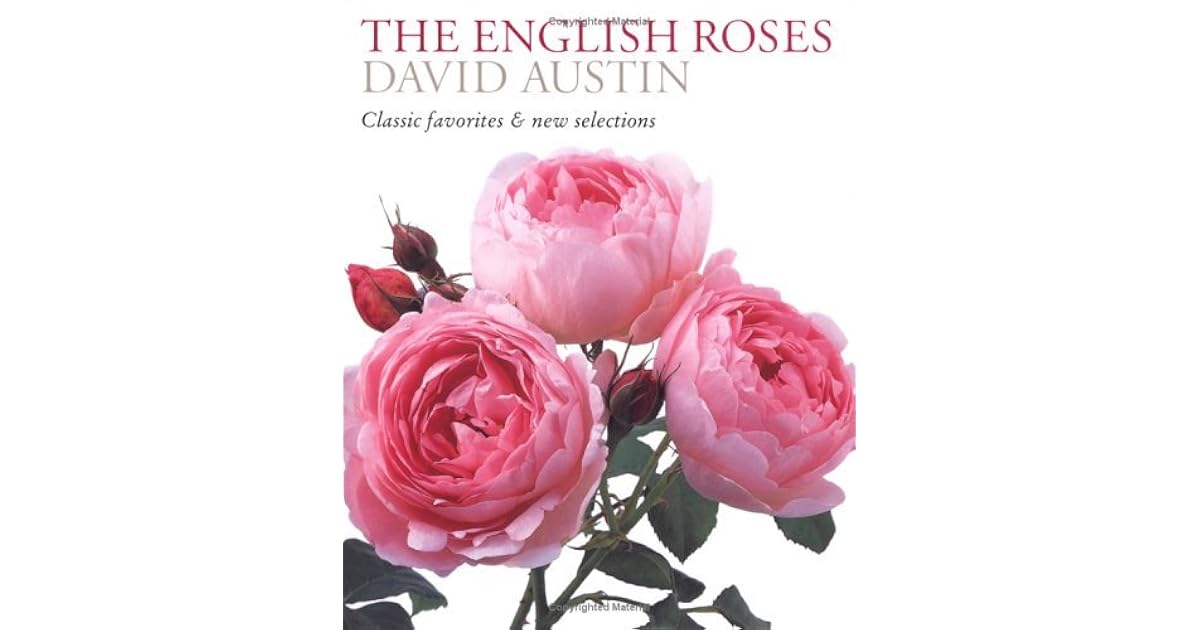 The English Roses: Classic Favorites & New Selections by David Austin