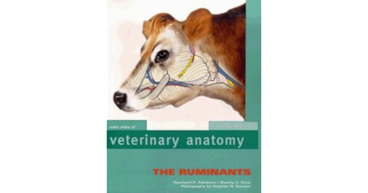 Color Atlas of Veterinary Anatomy, Volume 1: the Ruminants by Raymond R ...