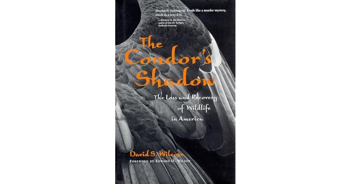 The Condor's Shadow: The Loss And Recovery Of Wildlife In America by ...