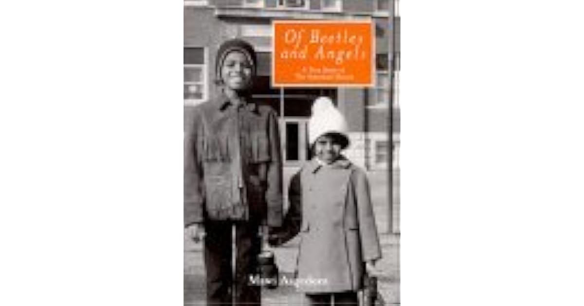 Of Beetles And Angels by Mawi Asgedom