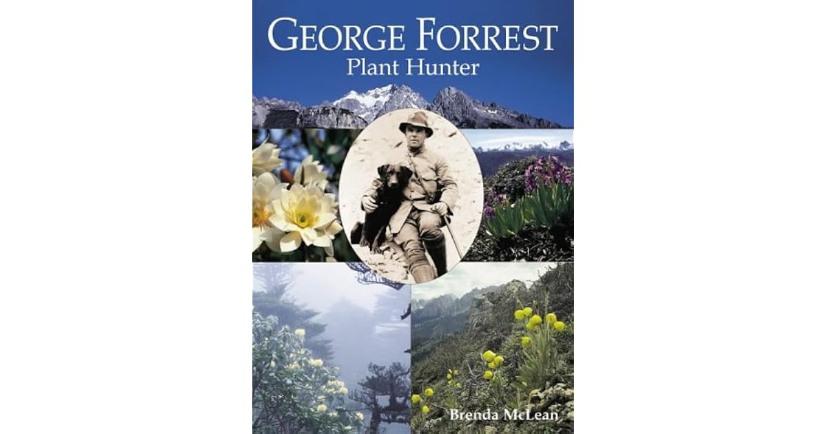 George Forrest Plant Hunter by Brenda McLean