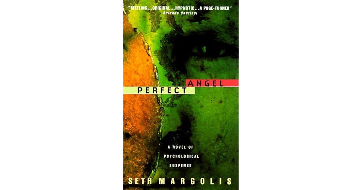 Perfect Angel by Seth Margolis