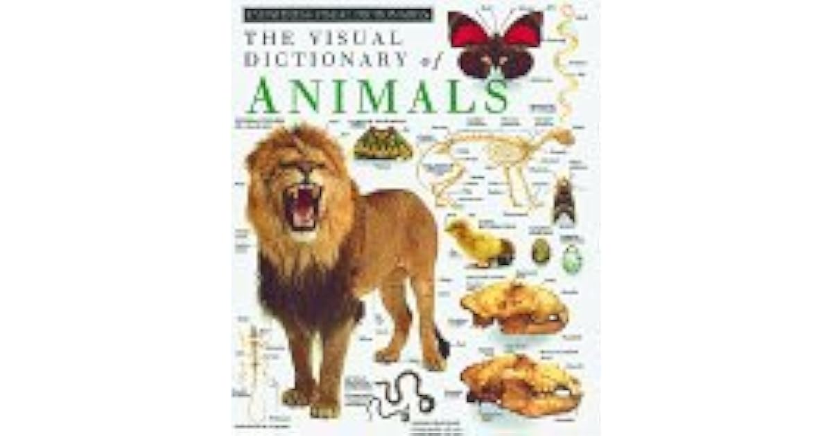 The Visual Dictionary of Animals by Clare Shedden