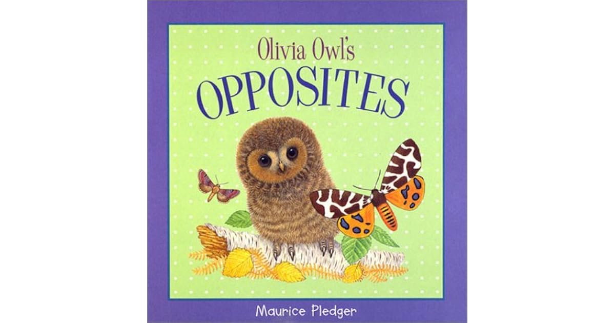 Olivia Owl's Opposites by Maurice Pledger