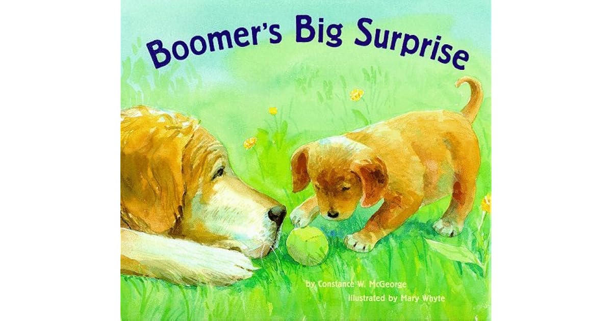 Boomer's Big Surprise by Constance W. McGeorge