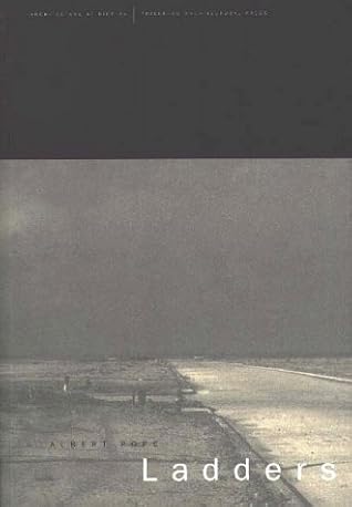 Ladders by Albert Pope