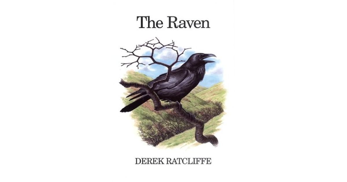 The Raven: A Natural History in Britain and Ireland by Derek Ratcliffe
