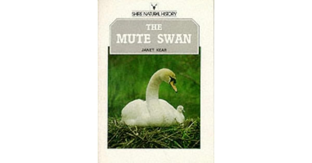 The Mute Swan by Janet Kear