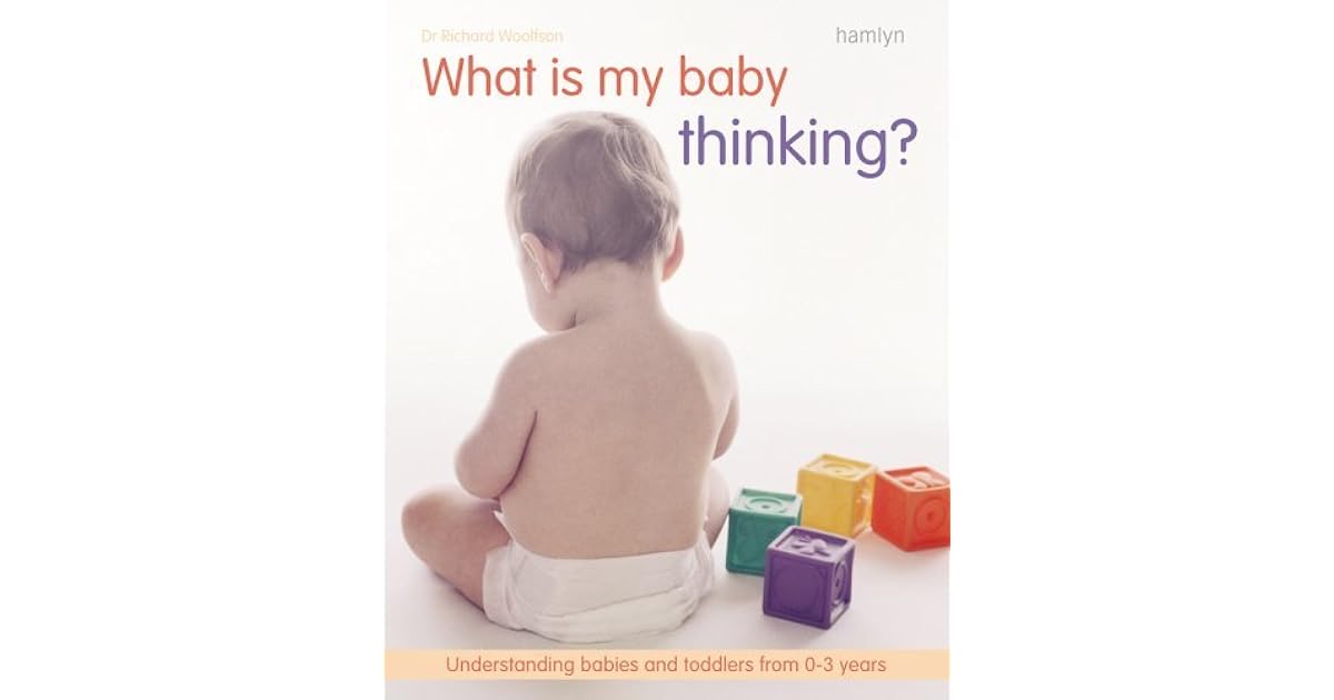 What Is My Baby Thinking?: Understanding Babies and Toddlers from 0-3 ...