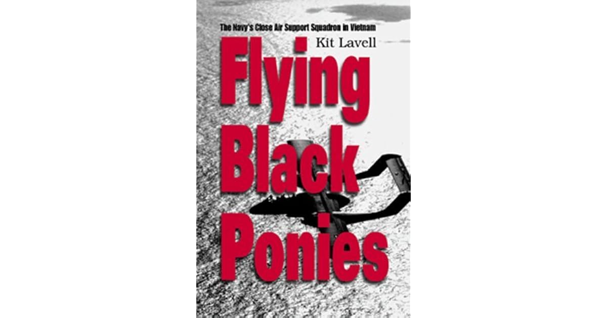 Flying Black Ponies: The Navy's Close Air Support Squadron in Vietnam ...