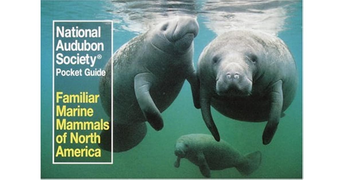 National Audubon Society Pocket Guide to Familiar Marine Mammals by ...