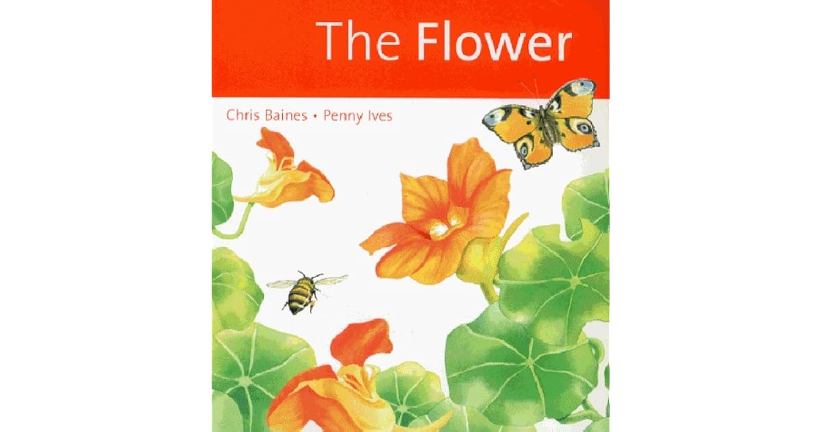 The Flower (Ecology Story Books) by Chris Baines