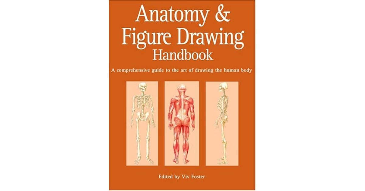 Anatomy and Figure Drawing Handbook: A Comprehensive Guide to the Art ...