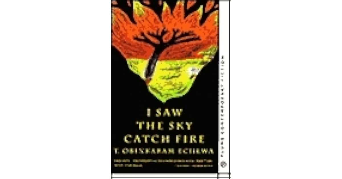I Saw the Sky Catch Fire by T. Obinkaram Echewa