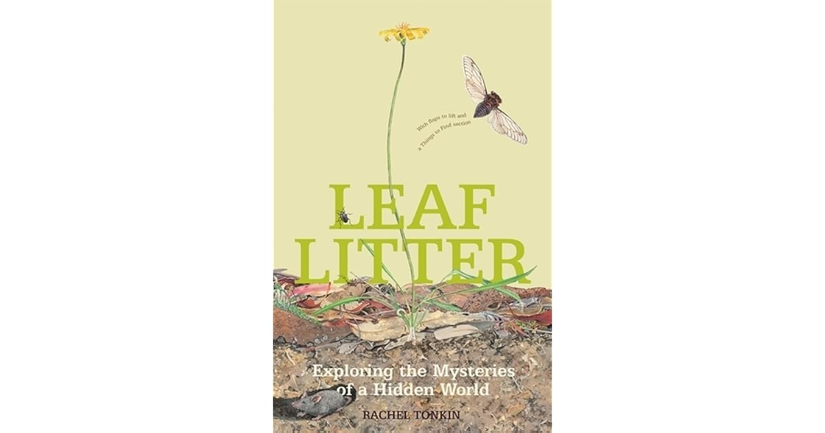 Leaf Litter by Rachel Tonkin