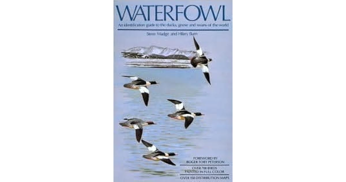 Waterfowl: An Identification Guide to the Ducks, Geese, and Swans of ...