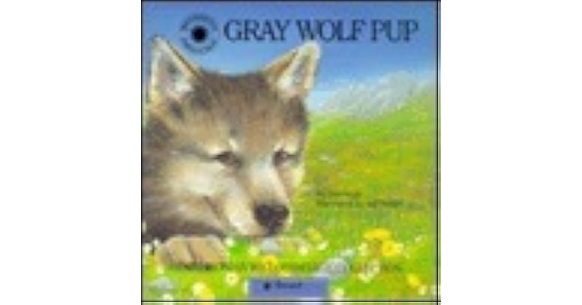 Gray Wolf Pup by Doe Boyle