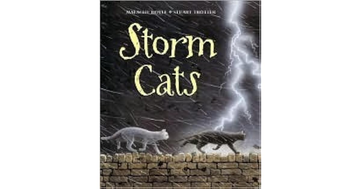 Storm Cats by Malachy Doyle
