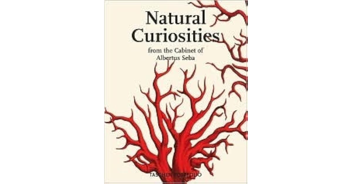 Natural Curiosities 14 Framable Prints From the Cabinet of Albertus ...