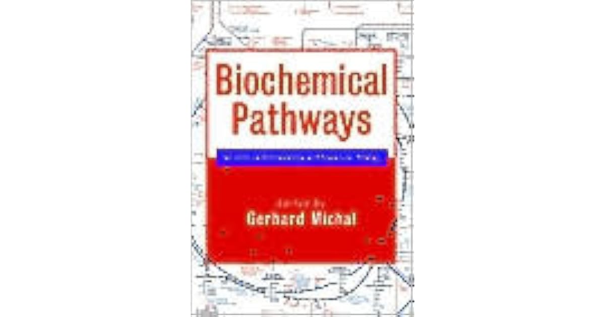 Biochemical Pathways: An Atlas of Biochemistry and Molecular Biology by ...