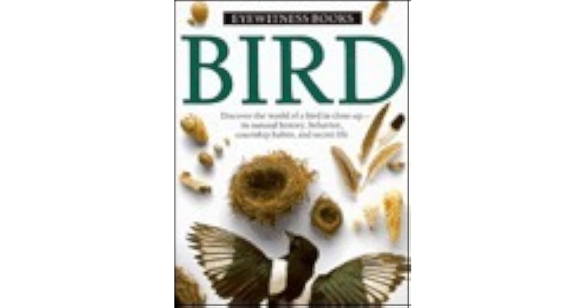 Bird by David Burnie