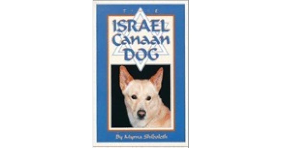 The Israel Canaan Dog by Myrna Shiboleth