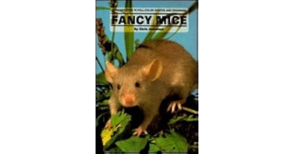 Fancy Mice by Chris Wenwood