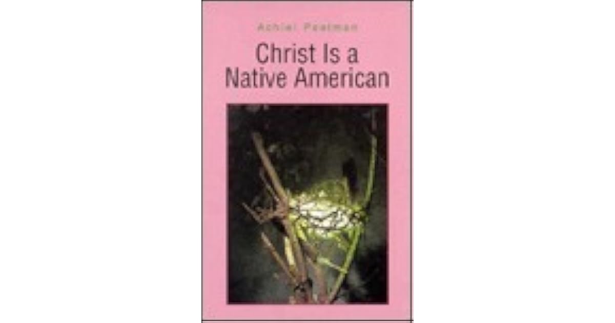Christ is a Native American by Achiel Peelman