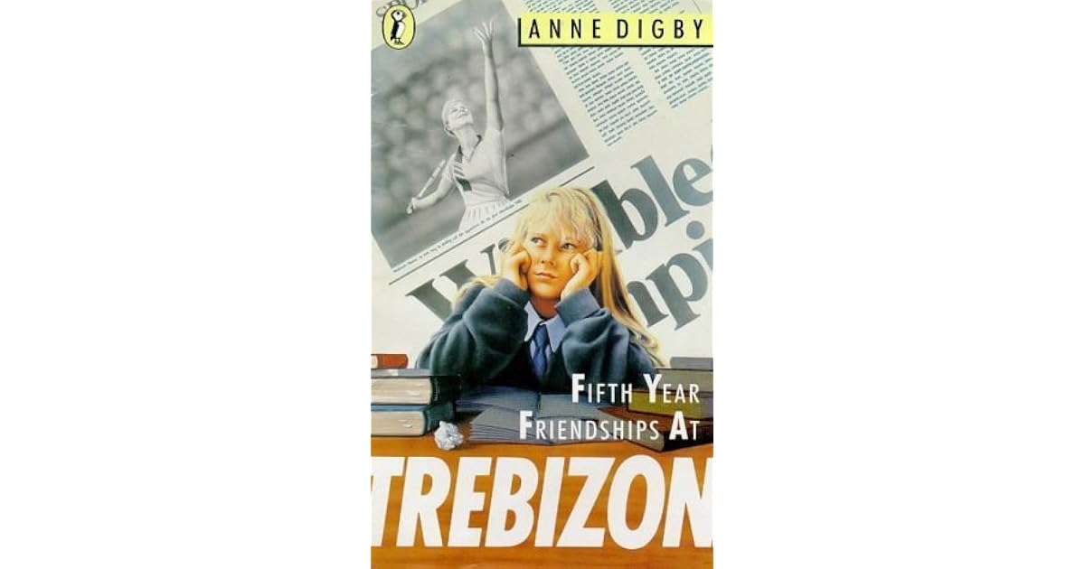 Fifth Year Friendships at Trebizon by Anne Digby