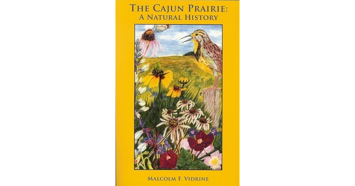 The Cajun Prairie: A Natural History by Malcolm F. Vidrine