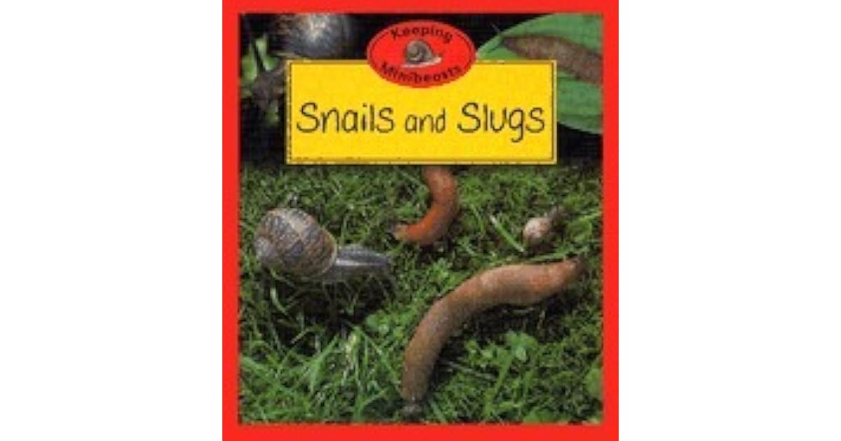 Snails And Slugs by Chris Henwood