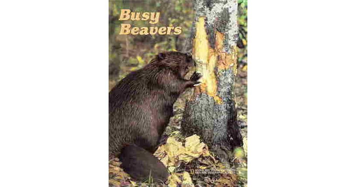 Busy Beavers by M. Barbara Brownell