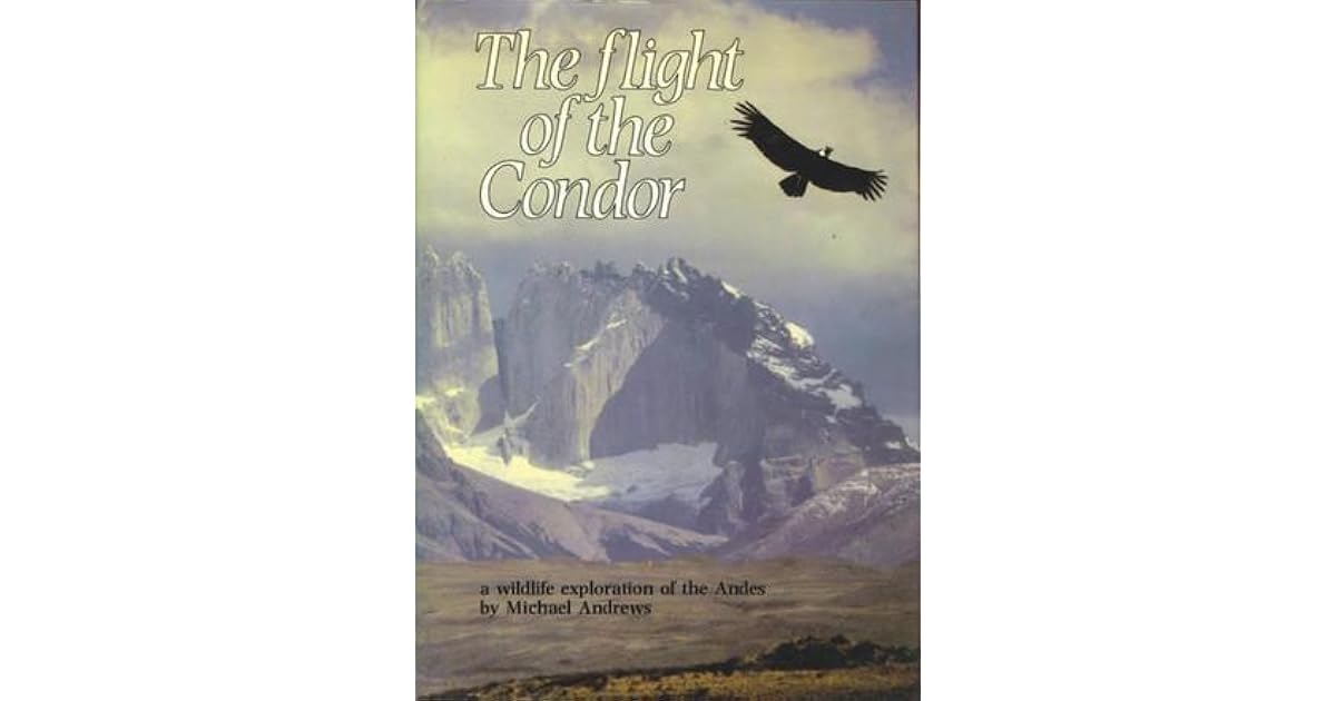 The Flight Of The Condor: A Wildlife Exploration Of The Andes by ...