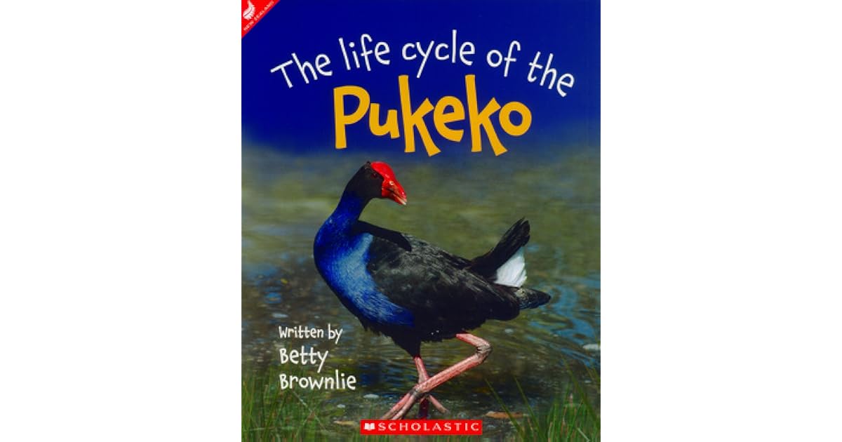 The life cycle of the Pukeko by Betty Brownlie