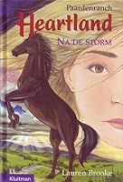 After the Storm (Heartland, #2) by Lauren Brooke