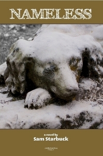 Nameless by Sam Starbuck