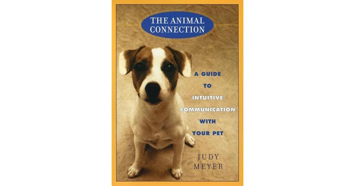 Animal Connection, The: A Guide to Intuitive Communicationwith Your Pe ...