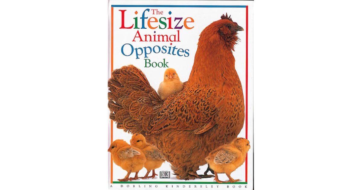 The Lifesize Animal Opposites Book by Lee Davis